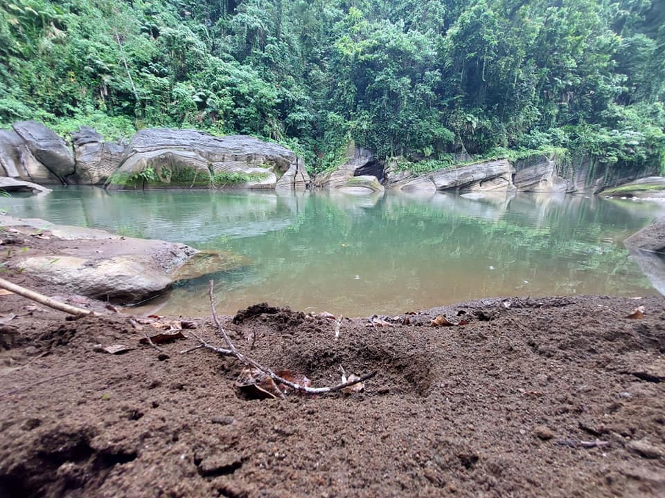 GPG Logging Field Monitoring - Environment Media