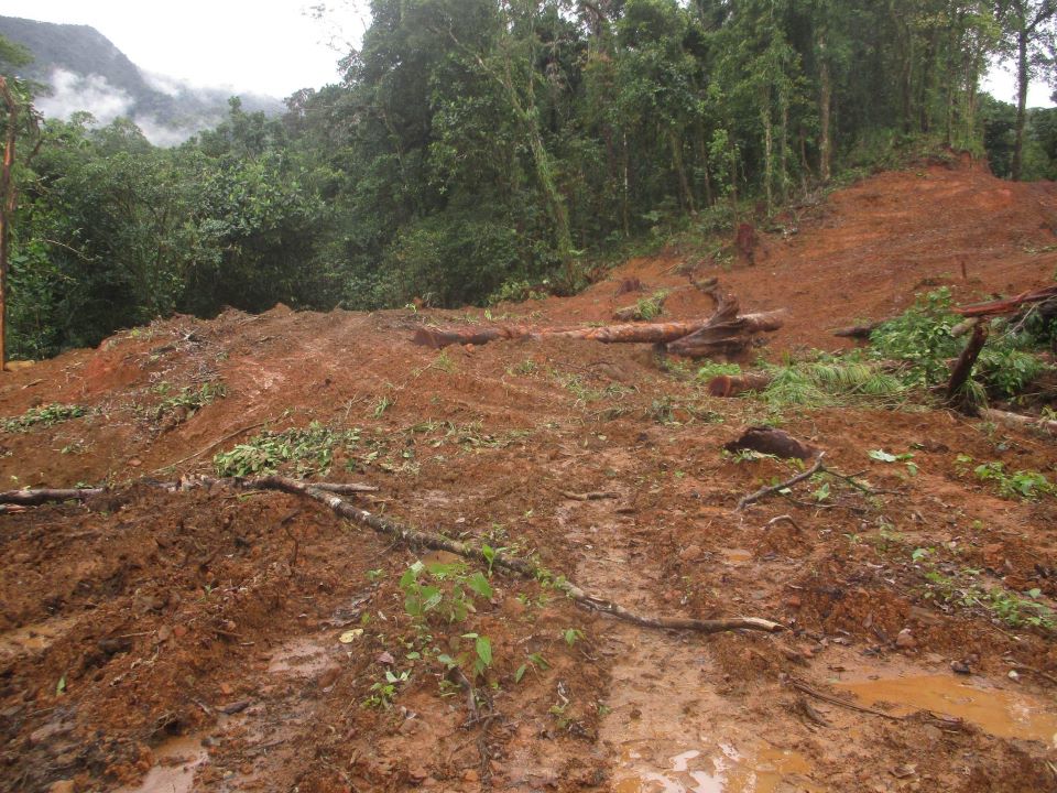 Forum/Letters - Environment Media